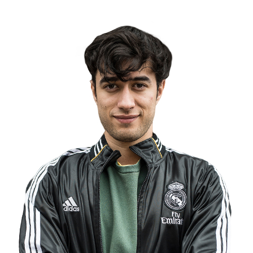 larrix – Urban Roosters News